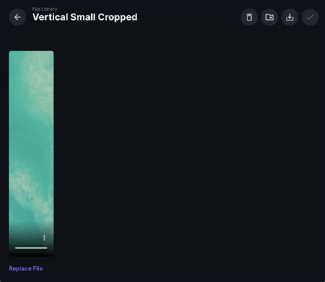 Hidden Audio Player And Styling Inconsistency · Issue 14546 · Directusdirectus · Github