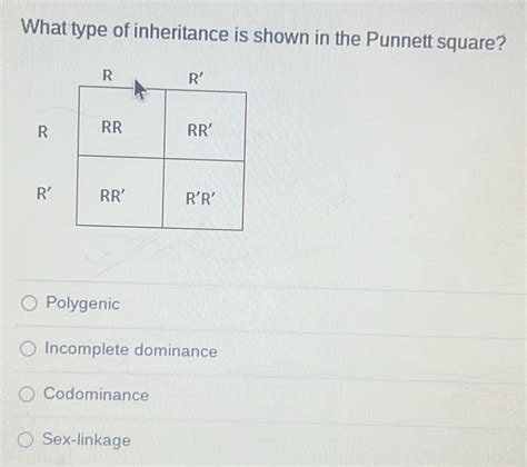 What Type Of Inheritance Is Shown In The Punnett Square R R Polygenic Incomplete Dominan Biology