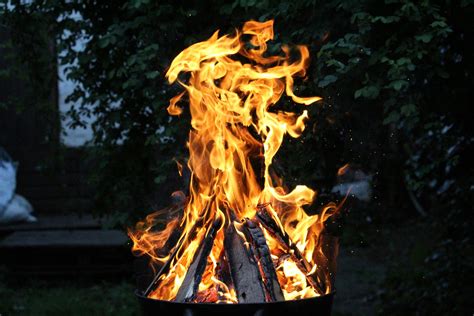 집 밖의 가을 불 광야 나무 나무 굽기 뒤뜰 불 따뜻함 뜨거운 모닥불 바비큐 밤 벽난로 불 불꽃 불꽃 질감 불꽃춤 불빛 불씨 사격하다