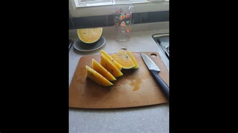 노란색 수박 Youtube