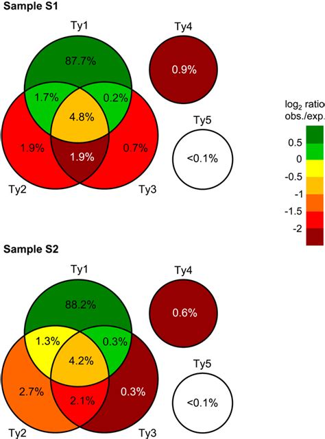 Formation Of Extrachromosomal Circular DNA Semantic Scholar