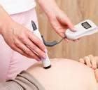 Cryptic Pregnancy Solutions
