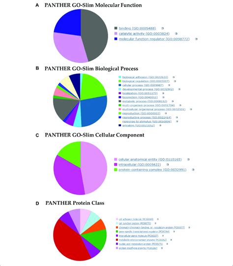 Pie Charts Of Gene Function Analysis Based On The Trfs Targets And
