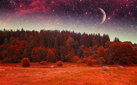 Moon Autumn Wallpapers Wallpaper Cave