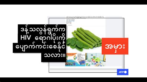 ဒန့်သလွန်ရွက်က Hiv ရောဂါပိုးကို ပျောက်ကင်းစေနိုင်တယ်ဆိုတာ မဟုတ်မှန်ကြောင်း သိပ္ပံပညာရှင်တွေငြင