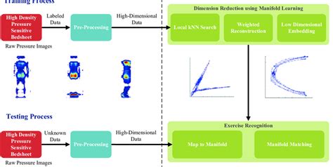 Process Flow For On Bed Exercise Monitoring Download Scientific Diagram