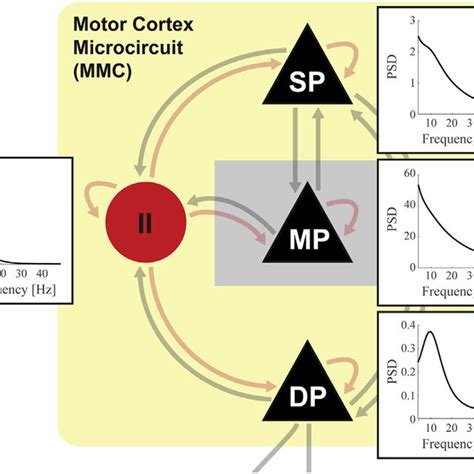 Maximum A Posteriori Map Estimates Of Auto Spectral Responses In
