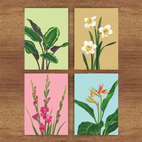 식물 수채화 일러스트 By 전유리 포트폴리오 노트폴리오