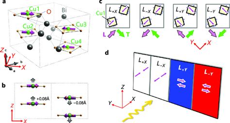 Crystal And Magnetic Structures Of Bi 2 Cuo 4 And Conceptual Download Scientific Diagram