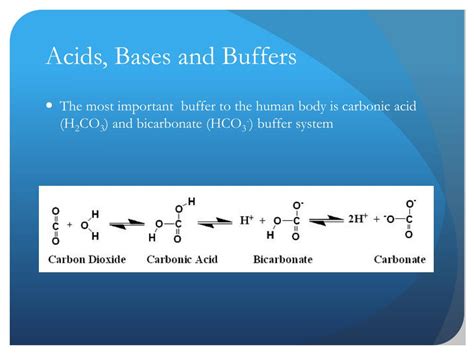 Ppt Metabolic Processes Powerpoint Presentation Free Download Id2413570 Ppt Metabolic Processes Powerpoint Presentation Free Download Id2413570