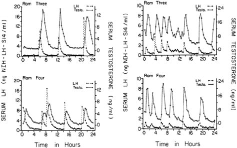 Pulsatile Pattern Of Concentration Of Luteinizing Hormone Lh And Download Scientific Diagram