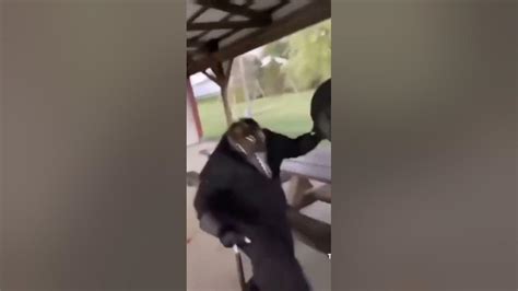 Miniloona Train Youtube