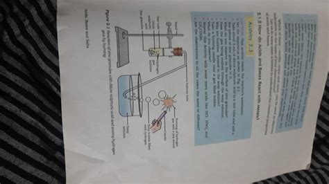 How Do Acids And Bases React With Metals Activity Caltrowe T