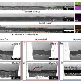 Cross Sectional PFIB SEM Characterization After The First Li Download Scientific Diagram