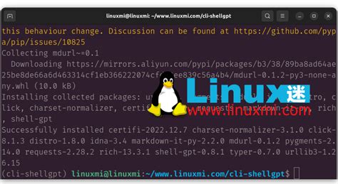 Shellgpt 在 Ubuntu Linux 终端中安裝和使用 Chatgpt 良许linux教程网