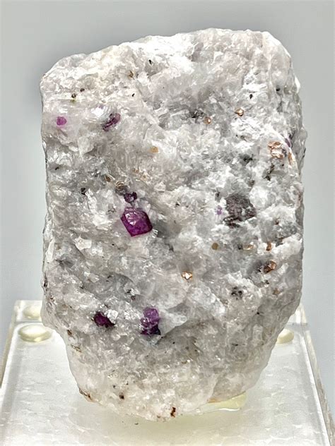 House Of Fossils And Gems Ruby