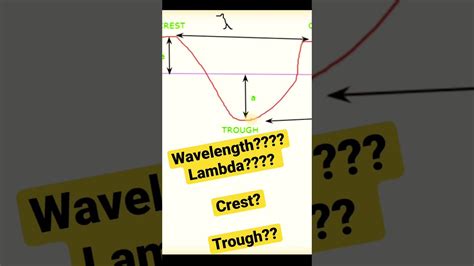 Crest In Physics Explained A Simple Guide With Examples Transtutor Blog