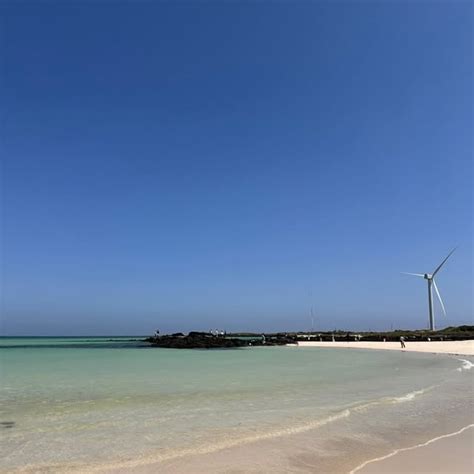 기분이 더러워서 짜증나는 날 짜증나는데 어쩔 방법이 없어서 나의 오늘이 재수가 없는 것 같아서 싫은 날 이래서 내가 술이 느나부다 아 싫다