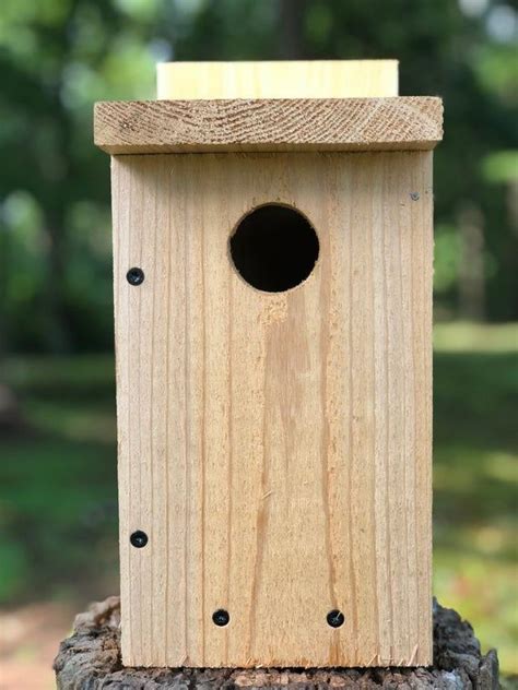 Bluebird And Tree Swallow Birdhouses Etsy