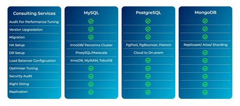 Database Management Services