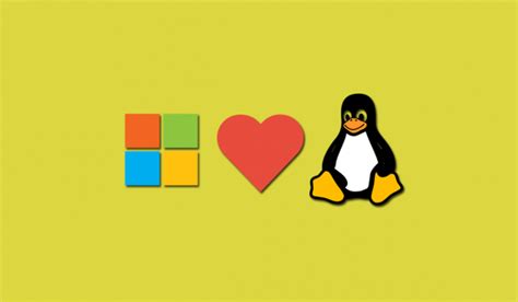 Bosque An Open Source Programming Language