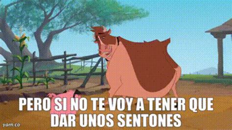 Sentones Memes Significado Y Origen Del T Rmino