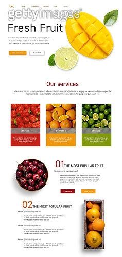 웹템플릿 홈페이지 메인페이지 이미지 건강한생활 주제 채소 채소 음식 유기농 주제 이미지 Jv11936371 게티이미지뱅크