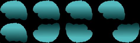 The Four Fundamental Symmetry Types A Translation B Reflection Download Scientific