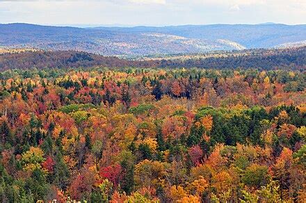 Vermont — Wikipédia