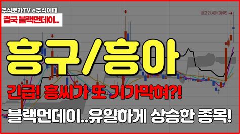 흥구석유 흥아해운 긴급 흥씨가 또 기가막혀 블랙먼데이 유일하게 상승한 종목 내일 이종목 상승할 수 있을까
