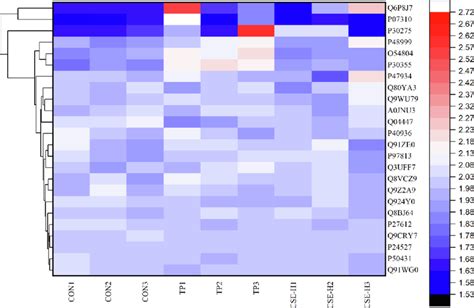 Heatmap Representation Of Hierarchical Clustering Of Download