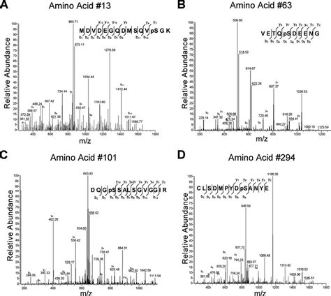 Mass Spectrometry Analysis Of Recombinant Ikaros After In Vitro