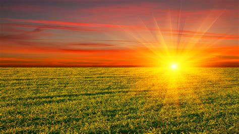 [200 ] Sunshine Pictures