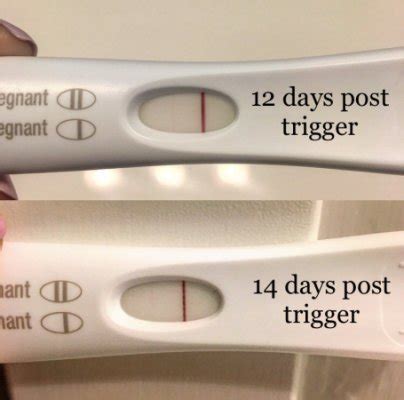 Trigger Shot Or BFP Help BabyCenter