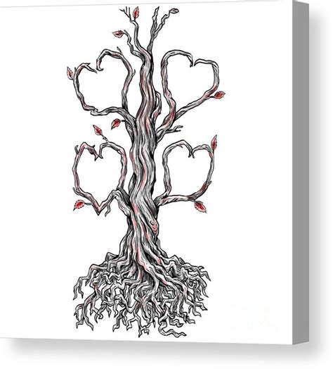 Oak Tree Branch Drawing At PaintingValley Com Explore Collection Of Oak Tree Branch Drawing