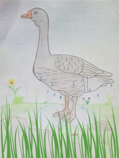 Рисунки гуся карандашом для срисовки 43 фото