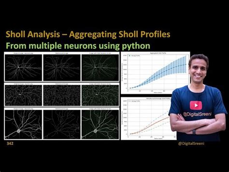 Free Video Sholl Analysis Aggregating Profiles From Multiple Soma