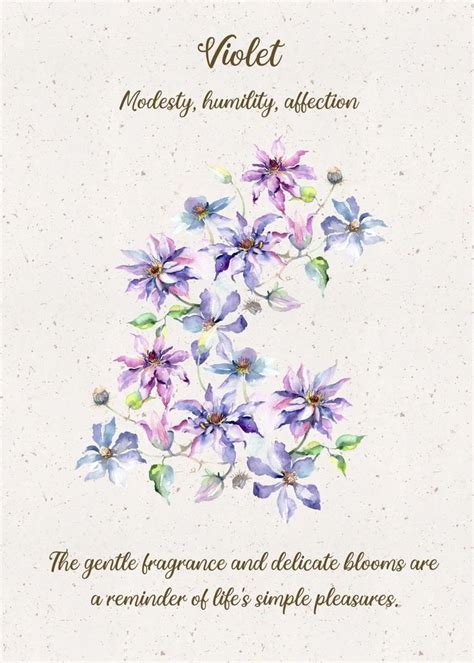 Violet Flower Language Poster Picture Metal Print Paint By XandYart Displate Violet