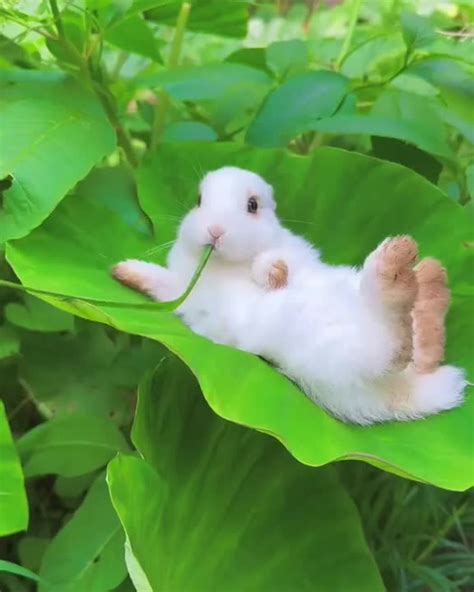 Ravi Verma Posted On Linkedin