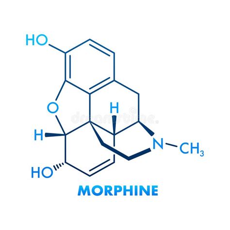 Morphine Concept Chemical Formula Icon Label Text Font Vector