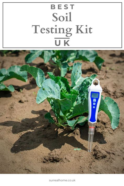 Best Soil Testing Kit UK