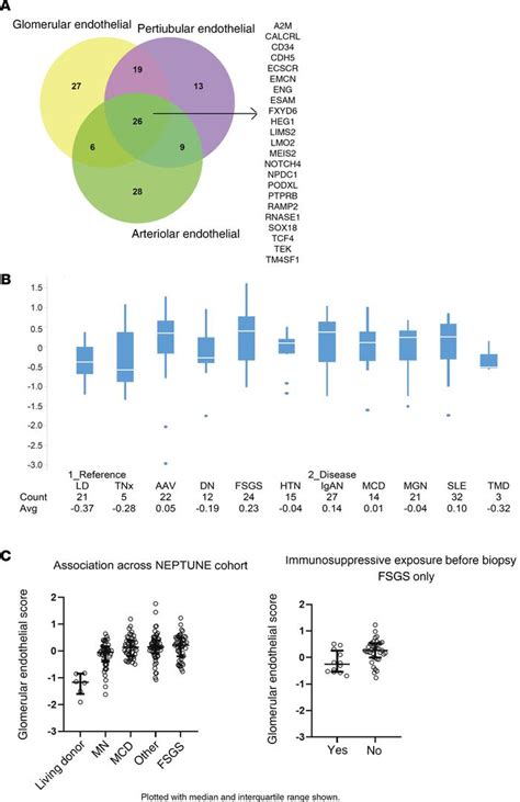 Jci Insight Single Cell Transcriptomics Identifies Focal Segmental Glomerulosclerosis