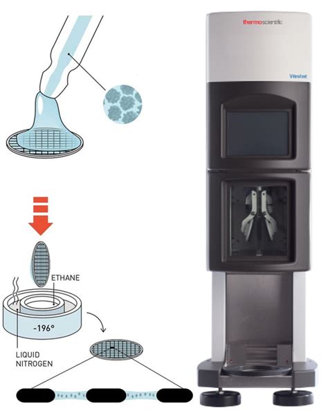 单颗粒冷冻电镜技术 Cryo Em Single Particle Analysis 单颗粒冷冻电镜技术 Cryo Em Single Particle Analysis