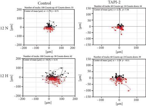Adam17 Involvement In Hypoxic Regulated Keratinocyte Migration A E