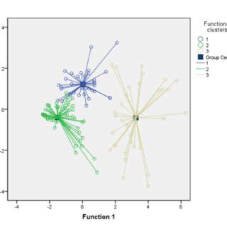 FIGURE E Graphical Agglomeration Of Functional Subgroups In Patients