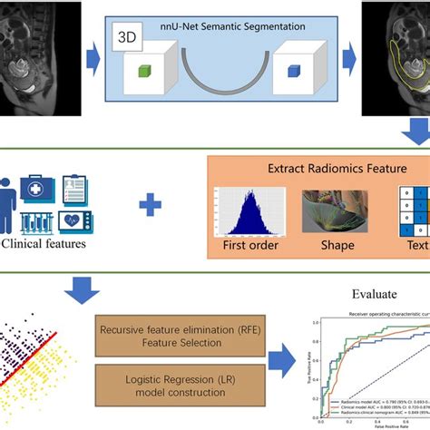 A Trained Nnu Net Model Was Utilized To Automatically Segment Placenta Download Scientific