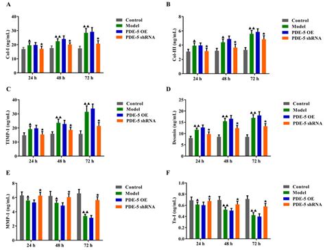 The Effects Of Pde 5 Modified Mscs On The Contents Of Col Ⅰ Col Iii