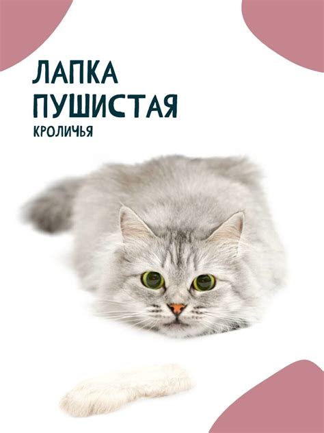 Игрушки и и и и и и и и и и и и и — купить по низкой цене на Яндекс Маркете