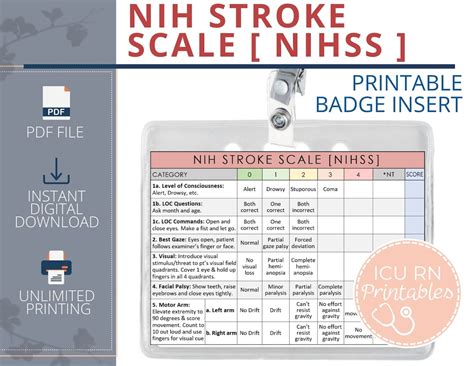 Nih Stroke Scale Nihss Printable Pdf Download Etsy
