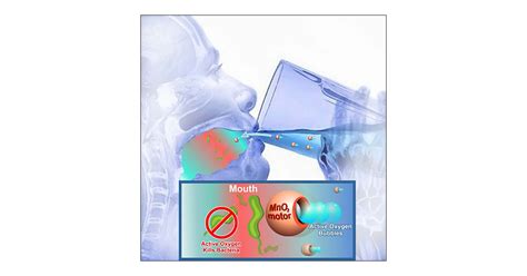 Investigation Of The Antibacterial Properties Of Janus Micromotors
